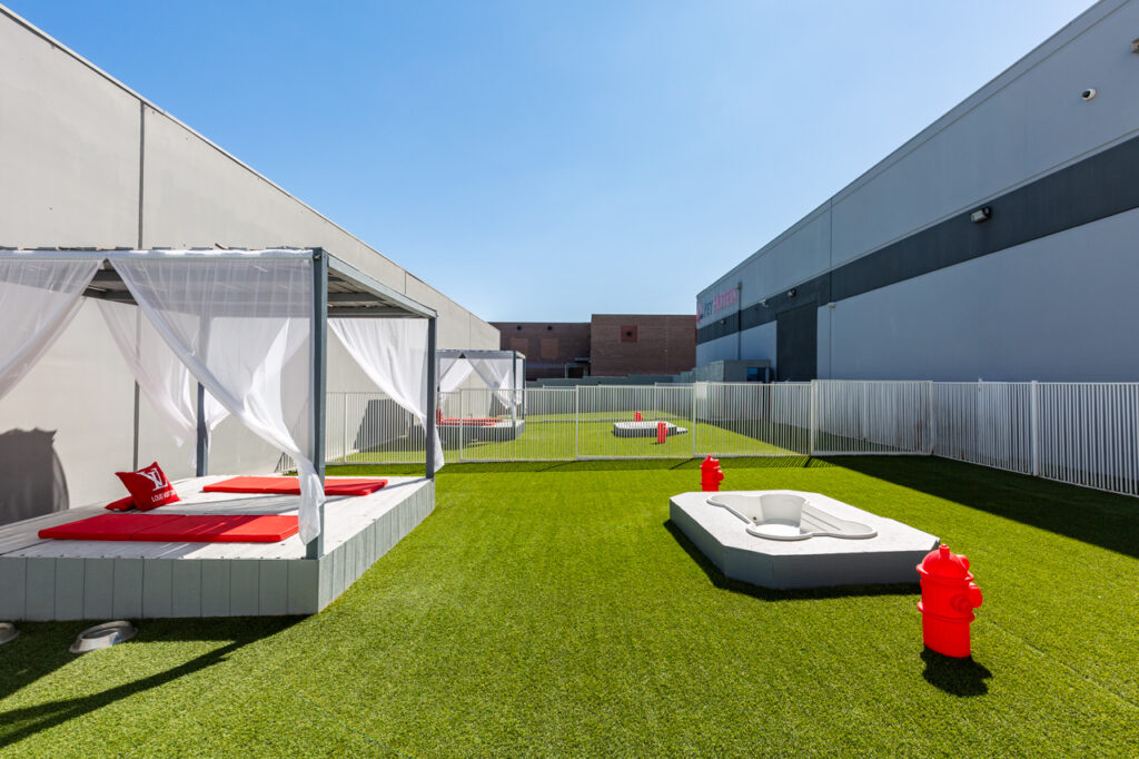 Luxury Dog Boarding – Luxe Pet Hotels